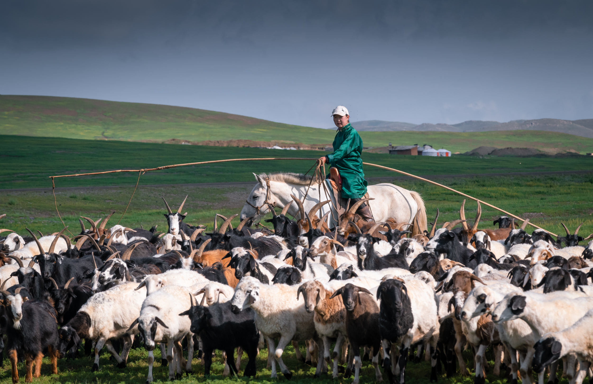 The Best Time to Travel to Mongolia | Plan Mongolia Tours-2021